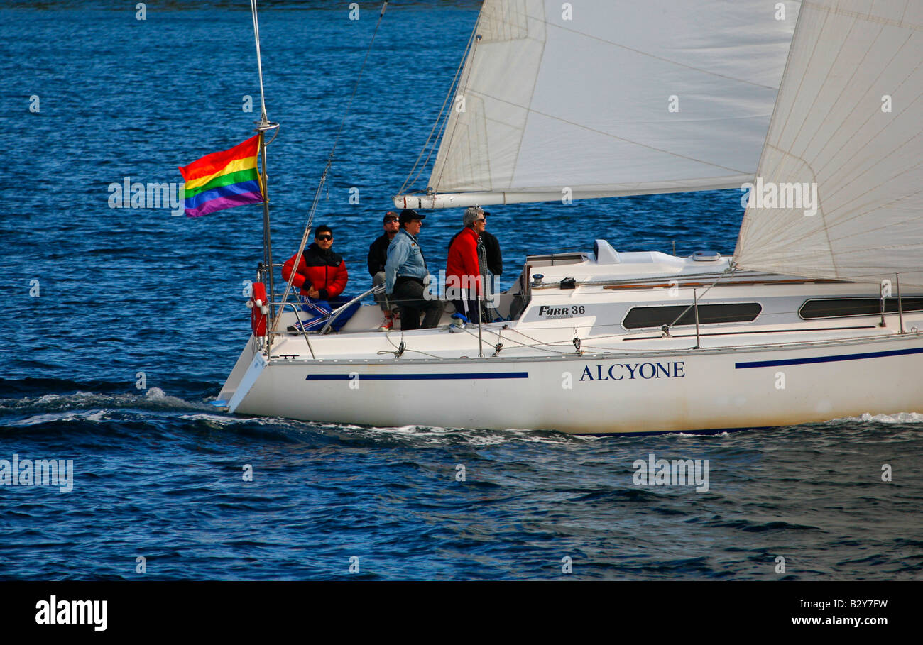 Sailing a Bruce Farr designed Farr 36 on Sydney Harbour Stock Photo - Alamy