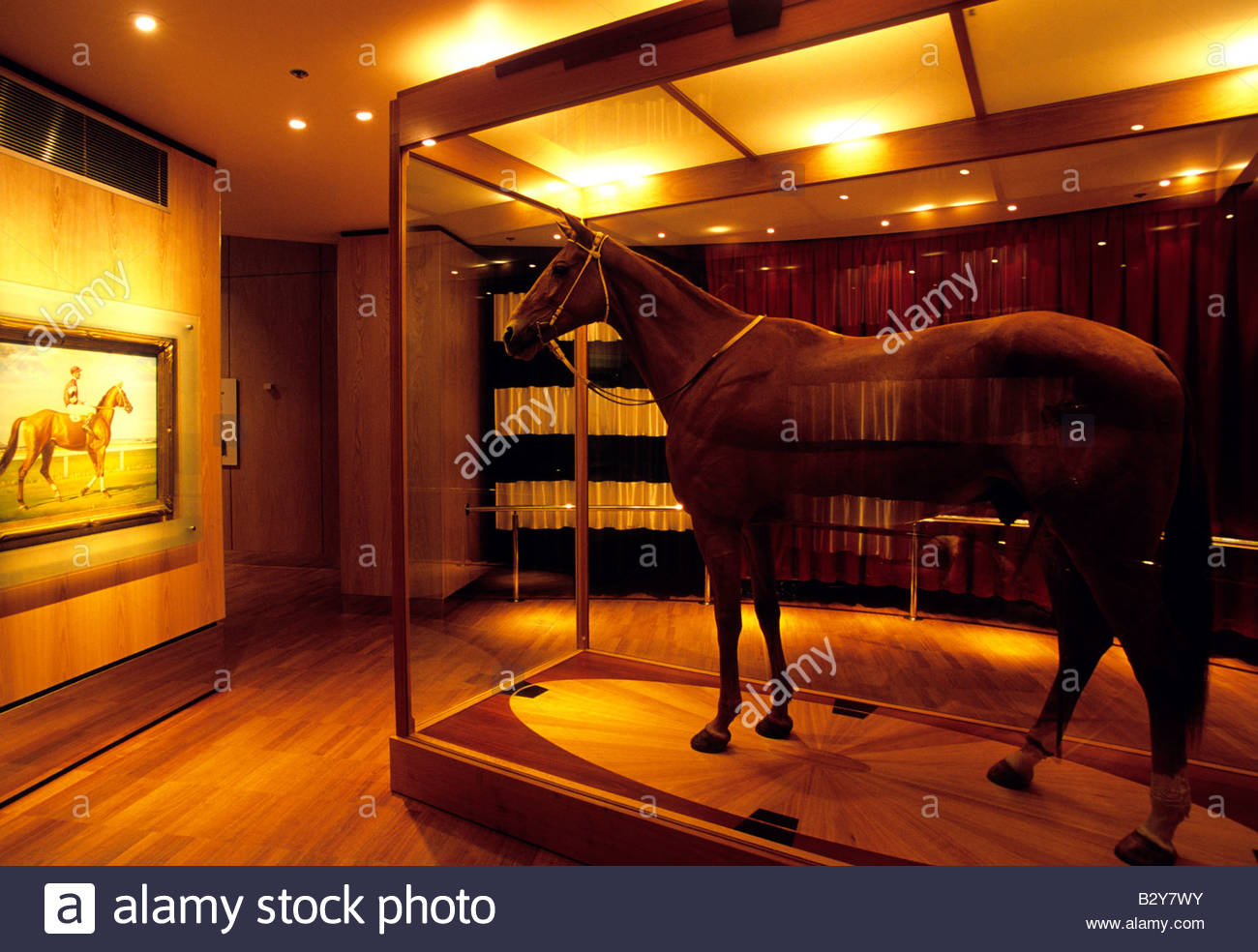 Phar Lap High Resolution Stock Photography and Images - Alamy