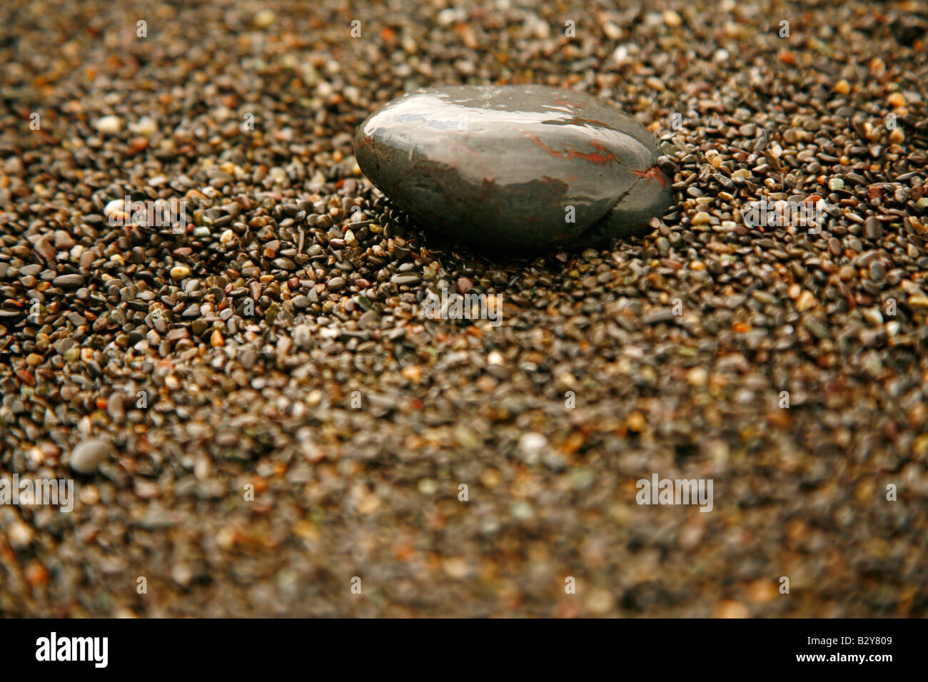 Rocks on Rialto Beach, Olympic National Park Pacific Coast, Washington ...