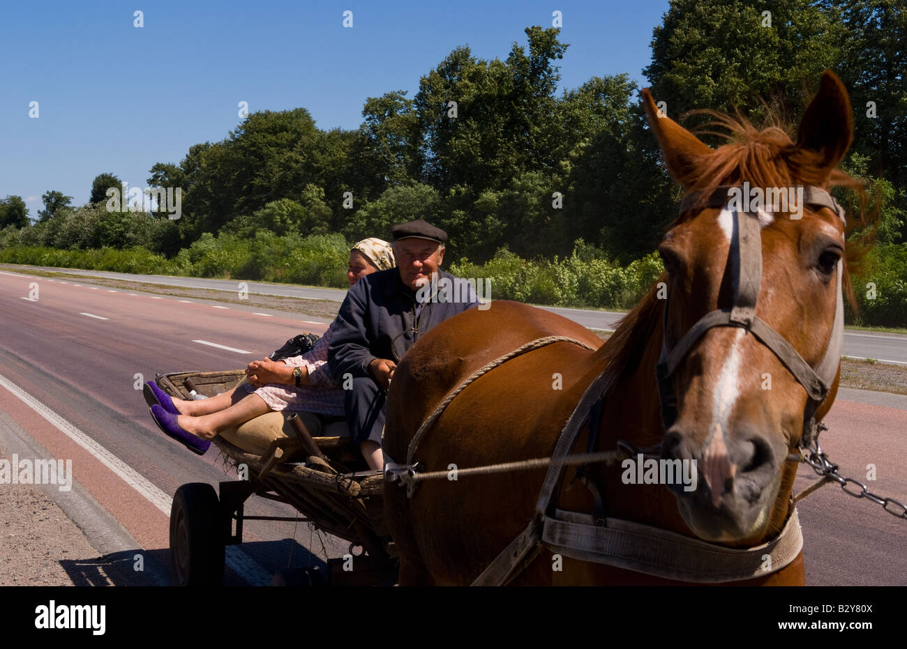 Farming with horse hi-res stock photography and images - Alamy