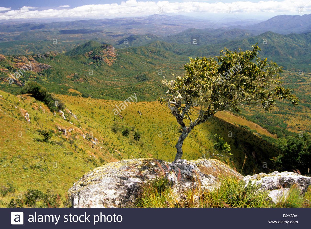 Nyika High Resolution Stock Photography and Images - Alamy