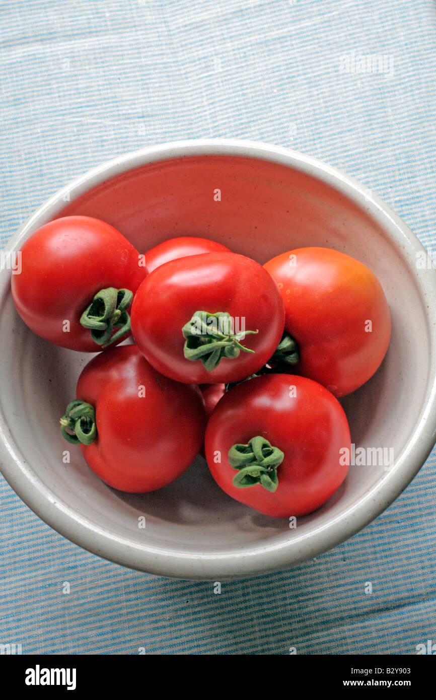 TOMATO FERLINE F1 VARIETY WITH SOME BLIGHT RESISTANCE Stock Photo - Alamy