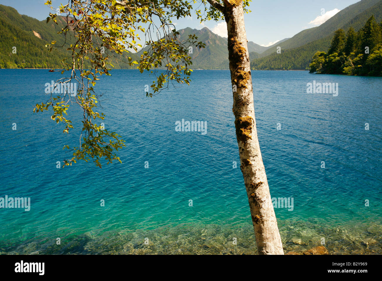 Lake Crescent, Olympic National Park, Washington State Stock Photo - Alamy