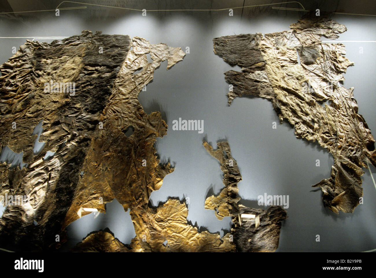 italy, trentino alto adige, bolzano, alto adige archeological museum ...