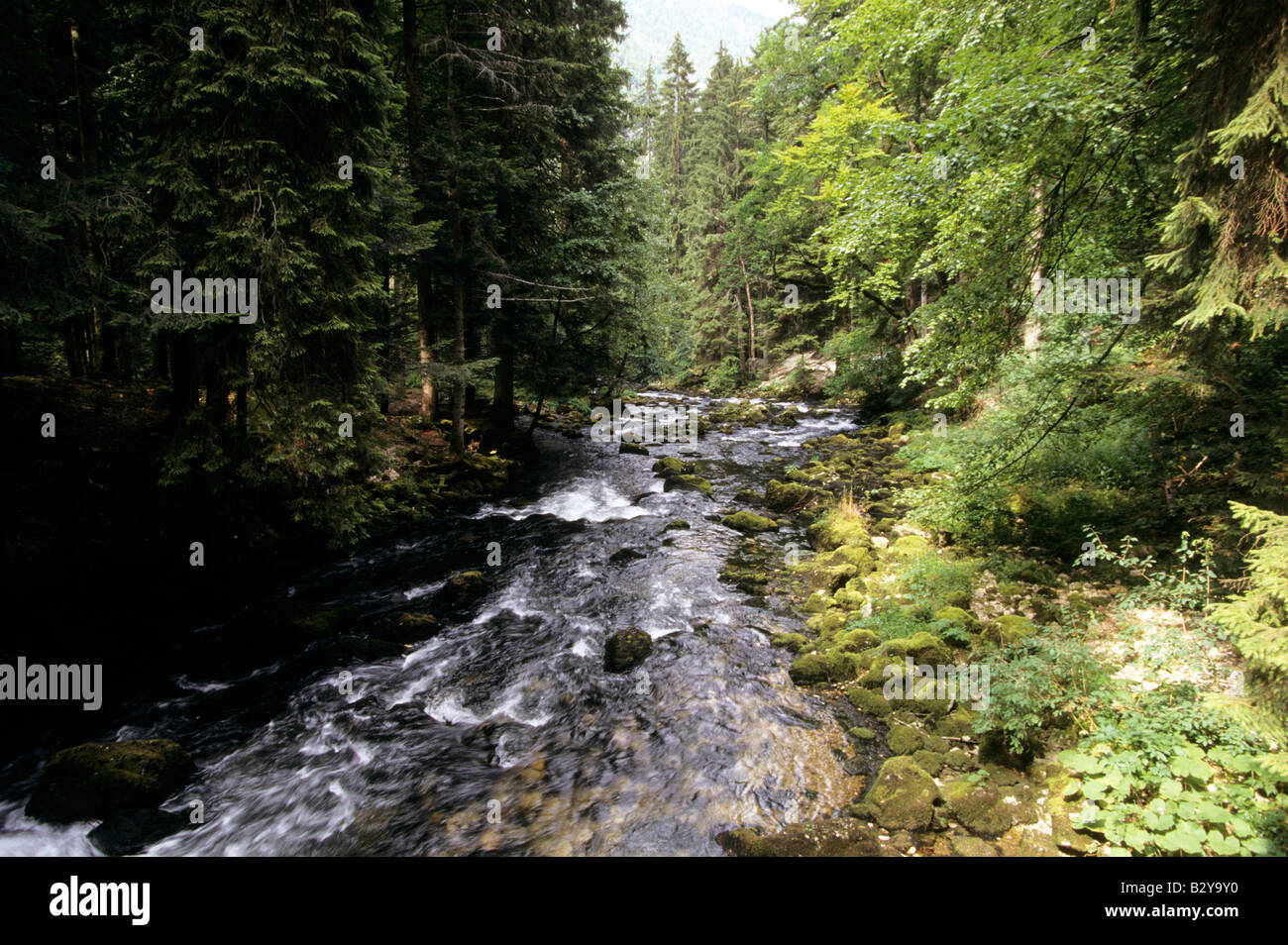 Orbe vaud switzerland hi-res stock photography and images - Alamy