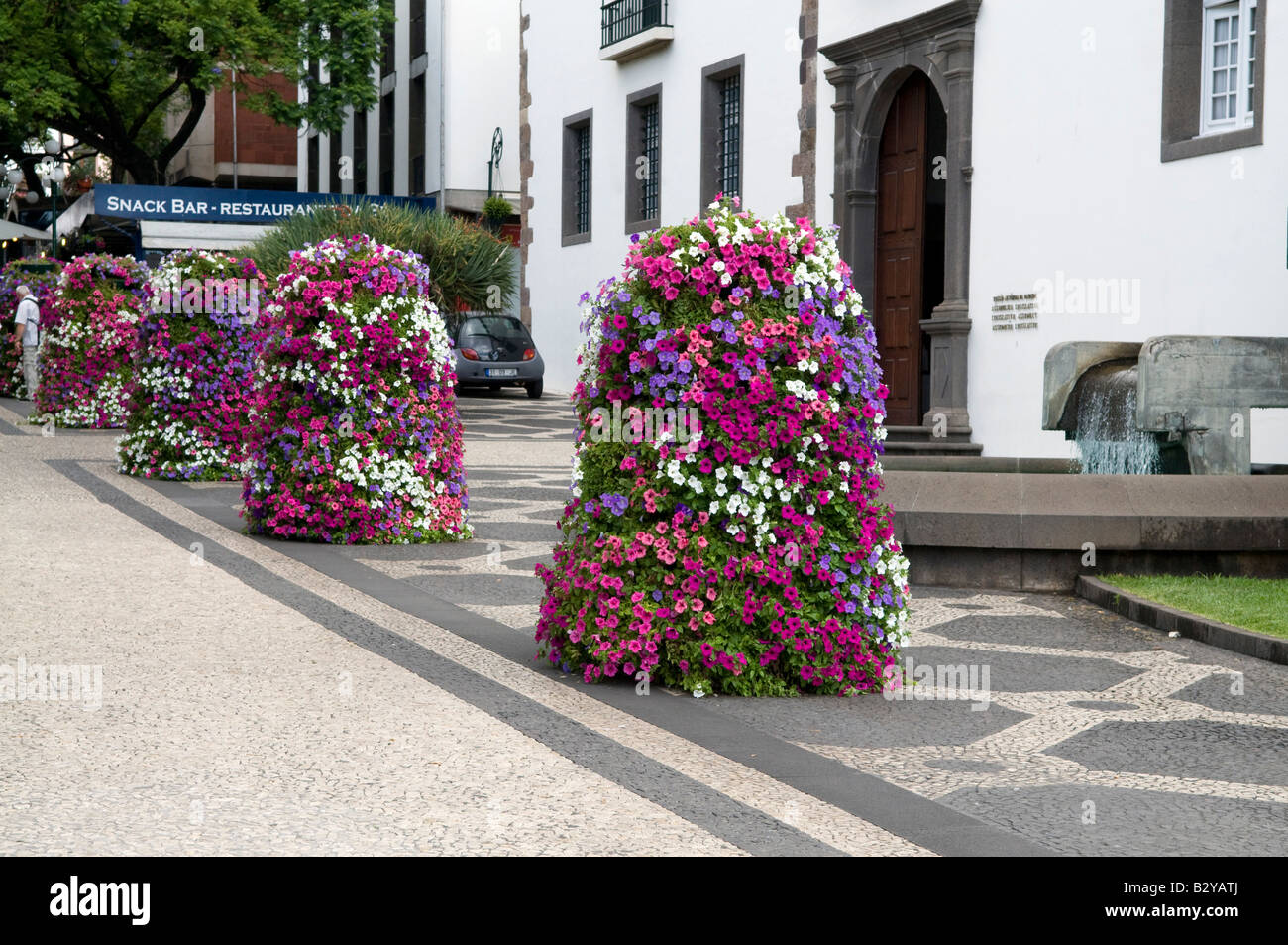 Petunia display hi-res stock photography and images - Alamy