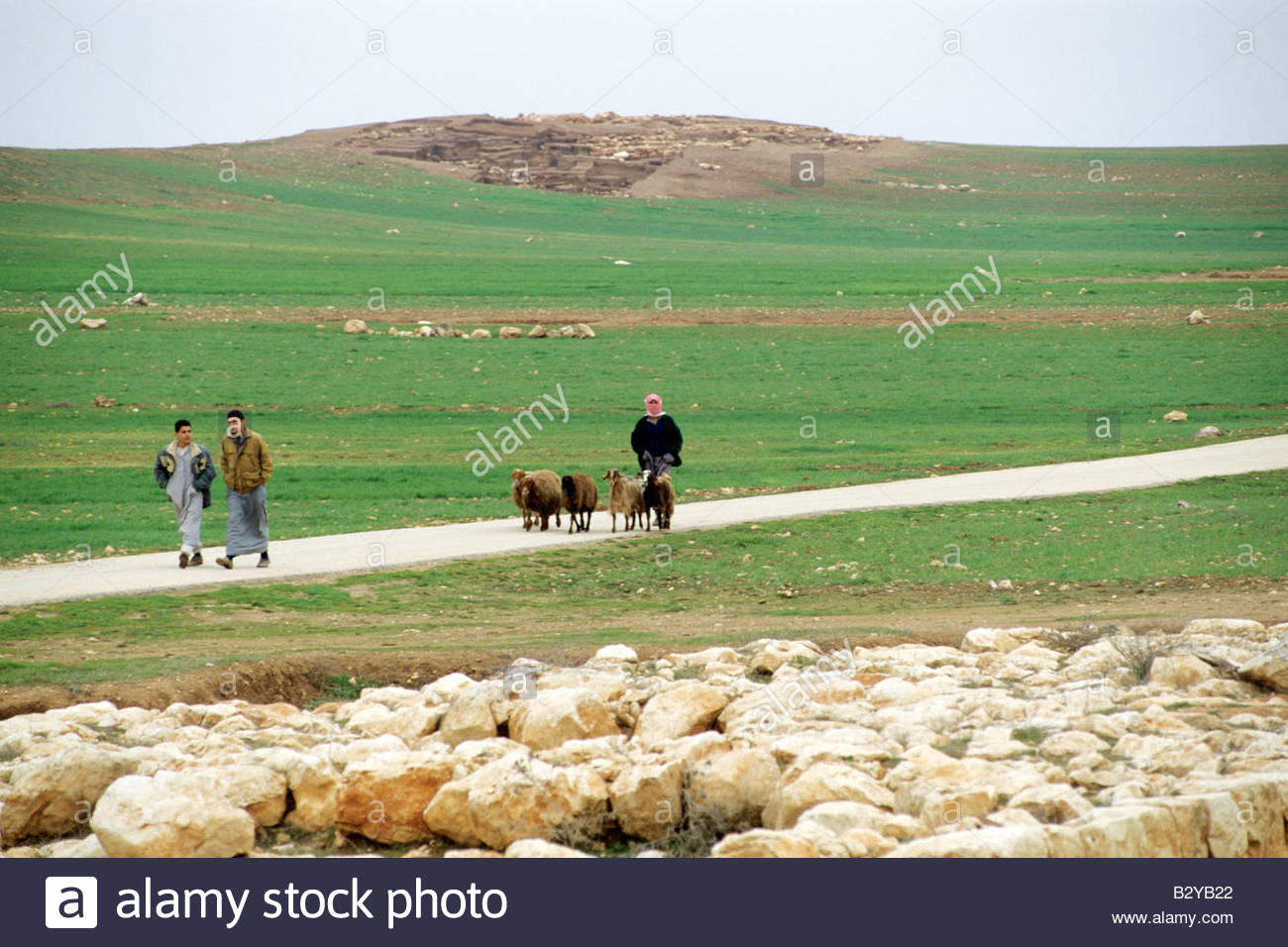 Archaeological Site Of Ebla Stock Photos & Archaeological Site Of Ebla ...