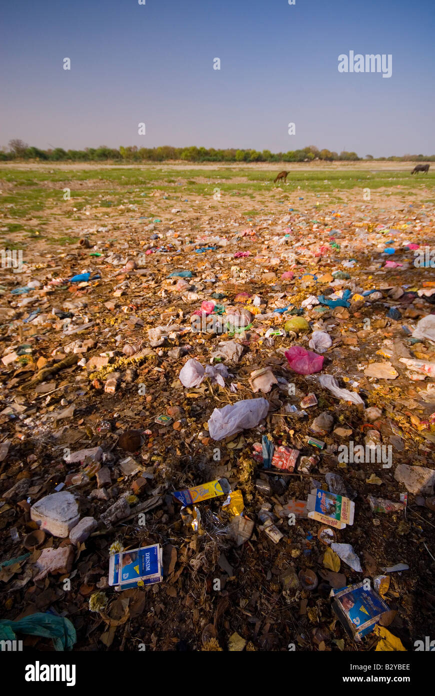 Litter on banks of Yamuna River, Agra City, Uttar Pradesh, India ...