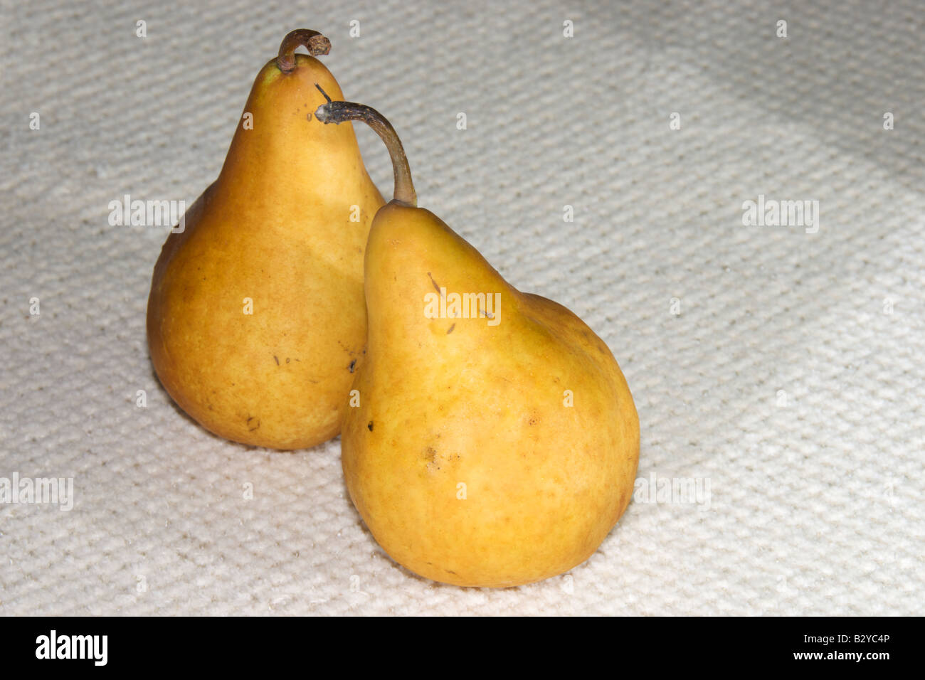Pair of Russet pears Stock Photo - Alamy