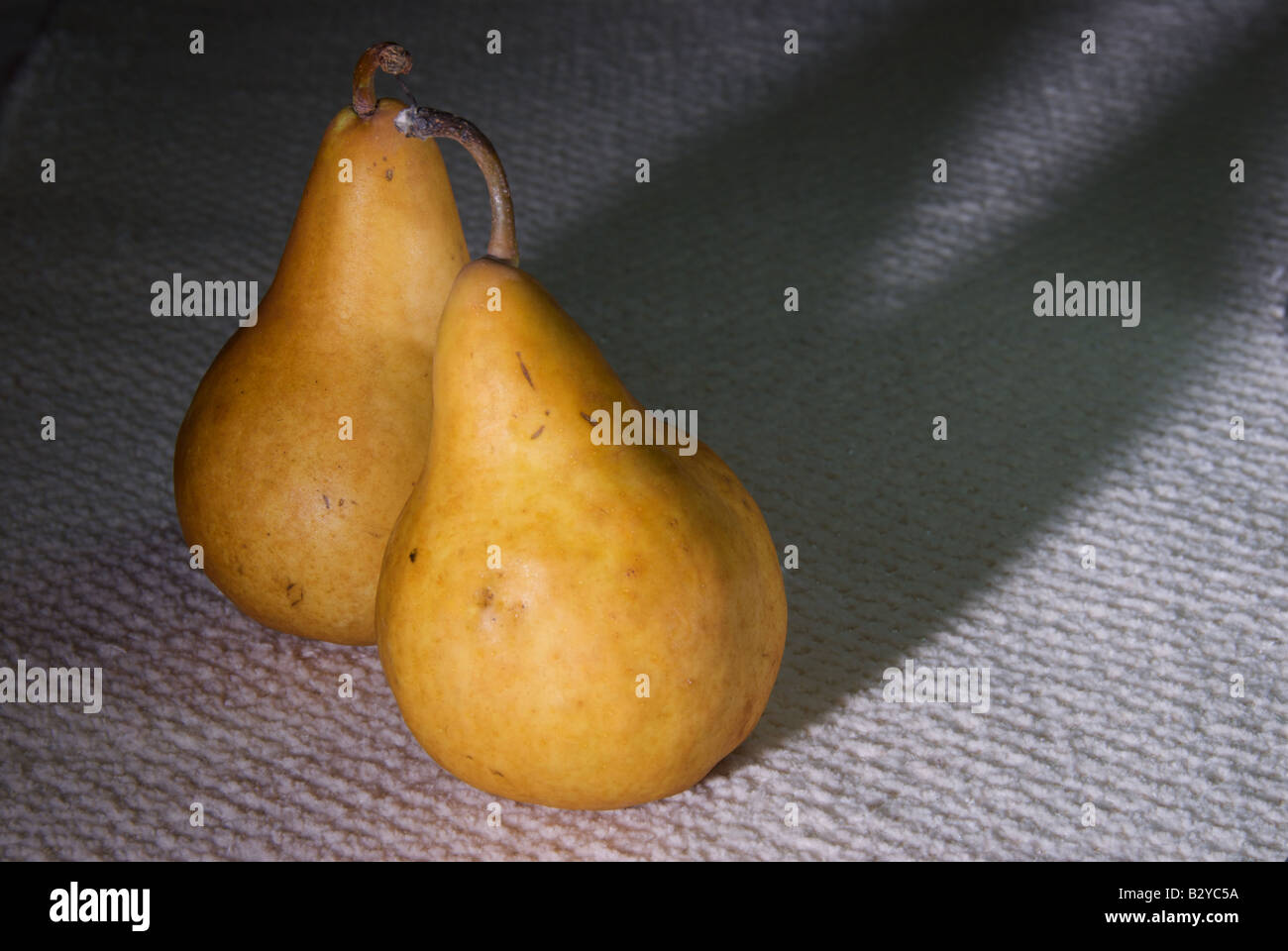 Pair of Russet pears Stock Photo - Alamy