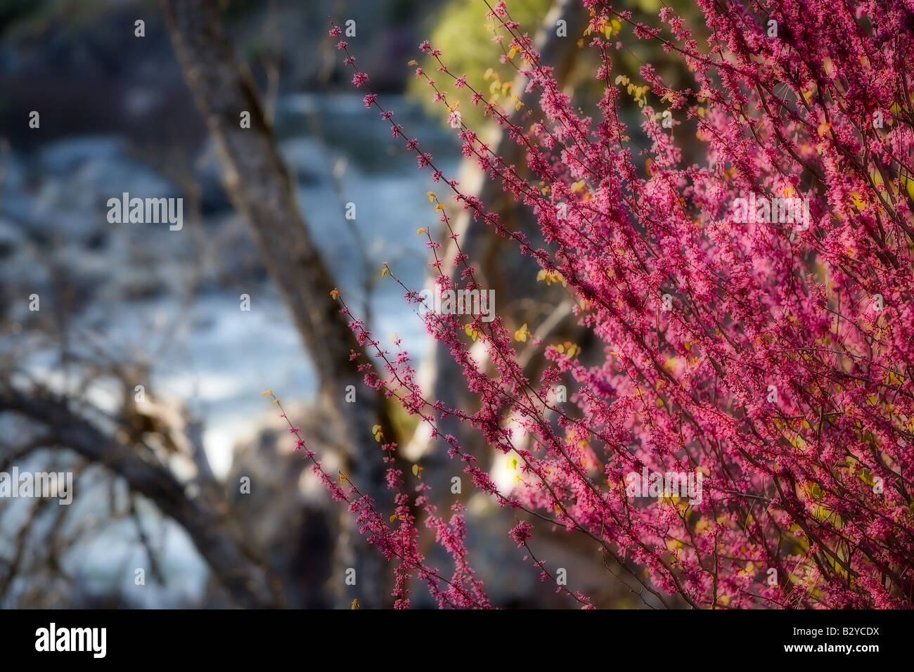 Yosemite april hi-res stock photography and images - Alamy