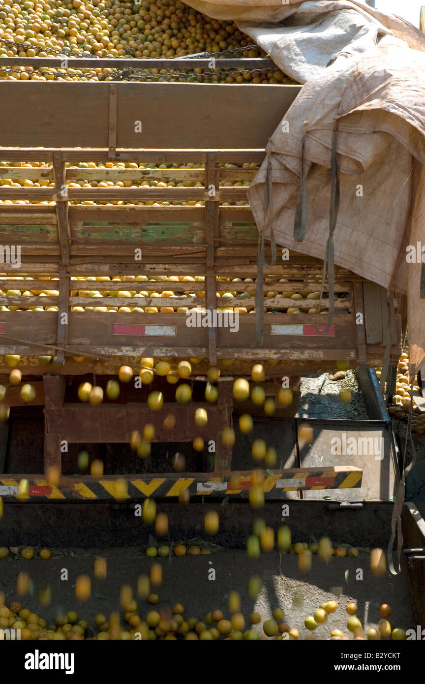 Oranges cargo hi-res stock photography and images - Alamy
