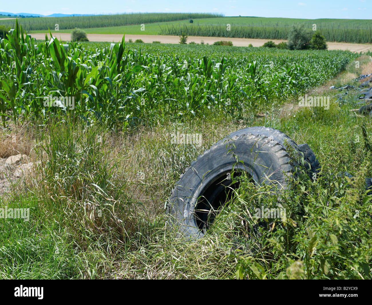 Soil degradation farmland hi-res stock photography and images - Alamy