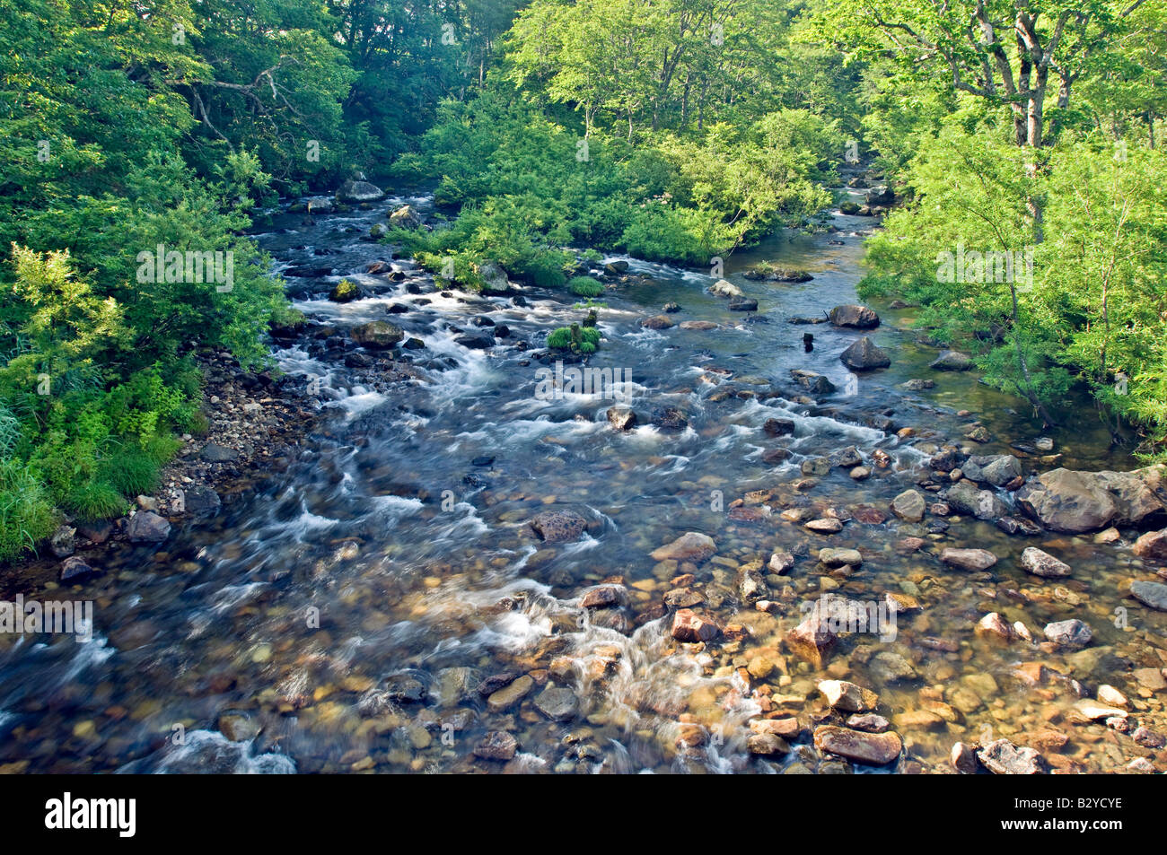Oze national park japan hi-res stock photography and images - Alamy