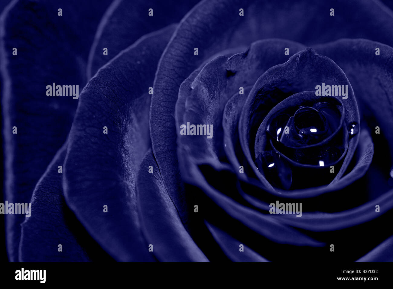 Deep Blue Stock Photos & Deep Blue Stock Images - Alamy