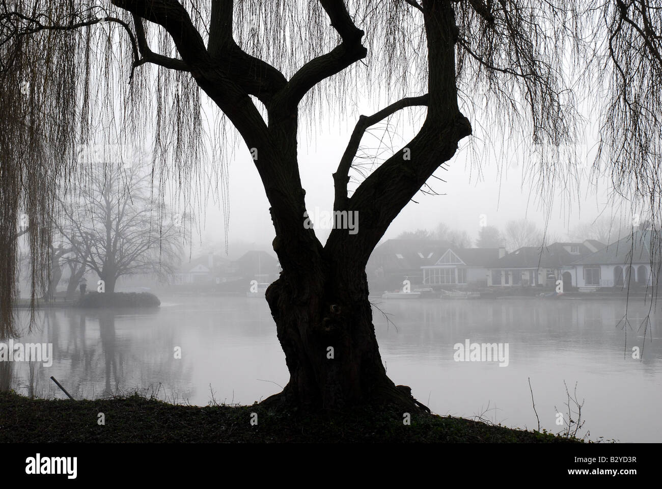 Misty river with trees at the edge hi-res stock photography and images ...