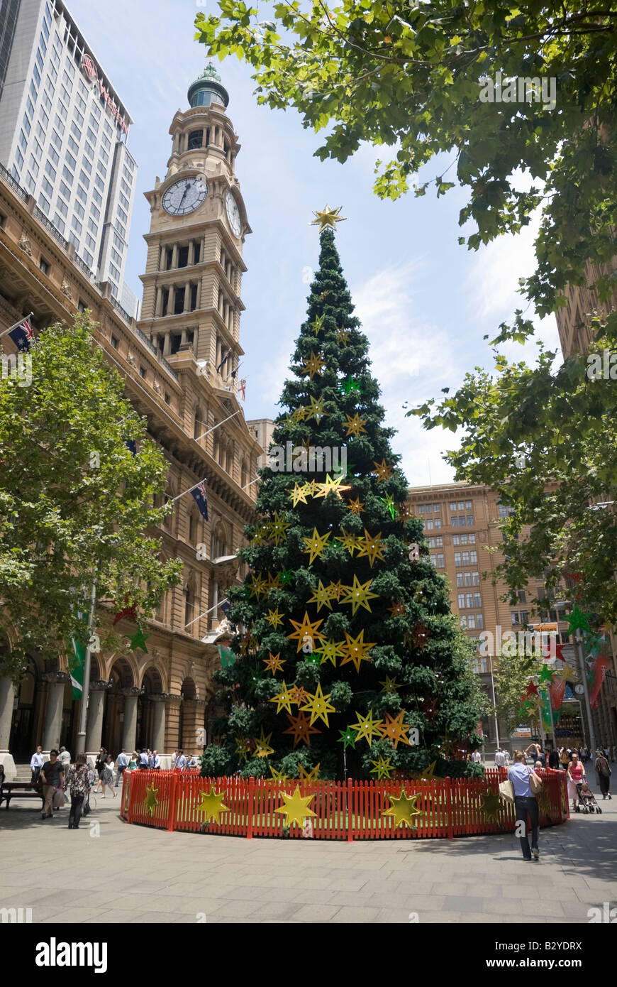 Every Christmas, an enormous Christmas tree is erected in Martin Place ...