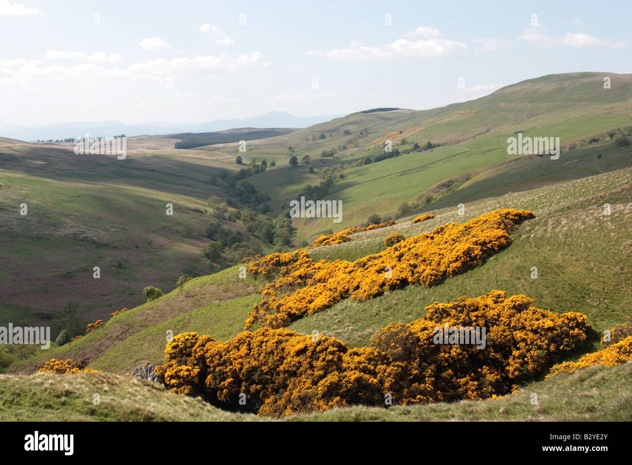 Menstrie ochils hi-res stock photography and images - Alamy