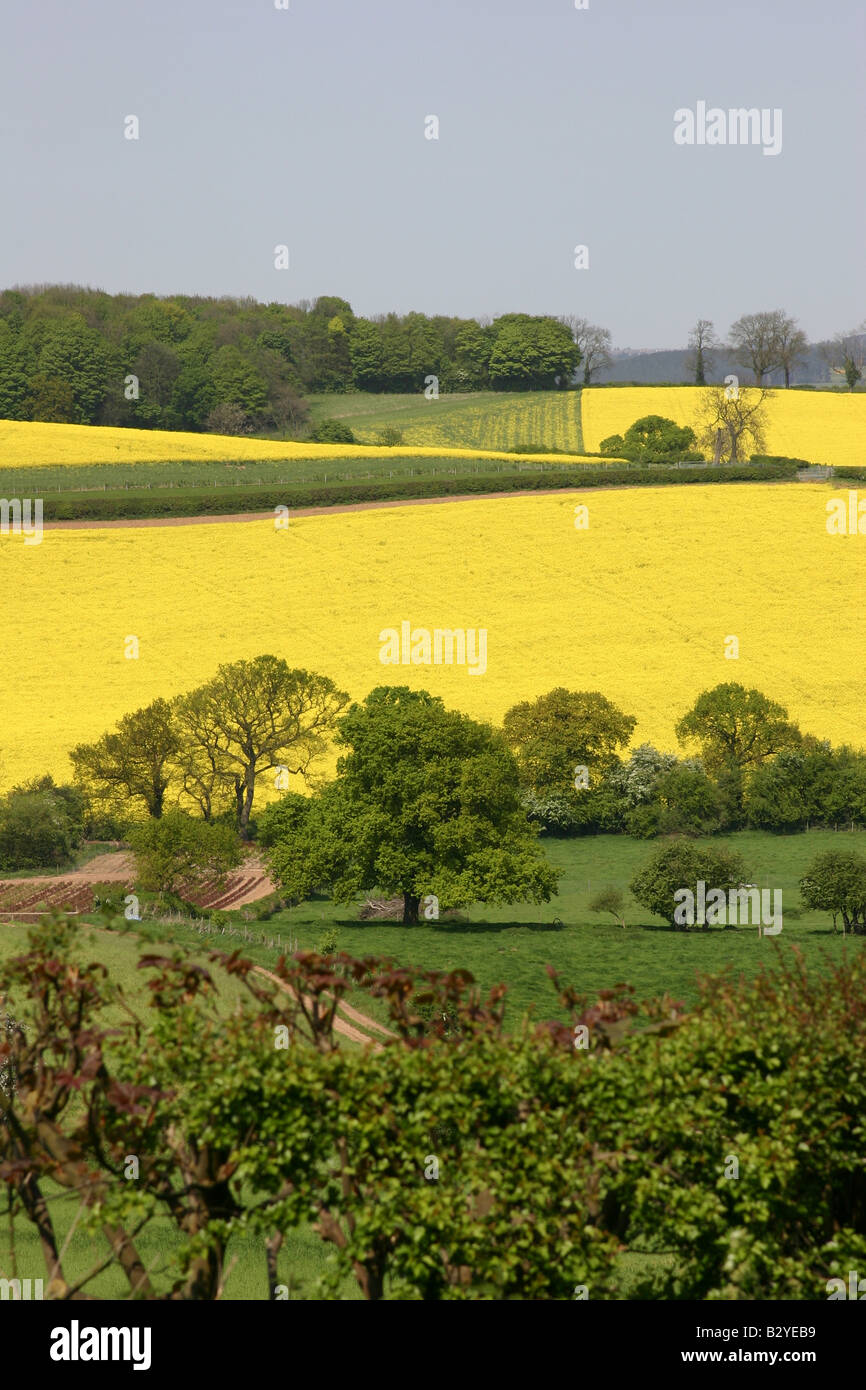 The English countryside. Woodborough, Nottinghamshire, England, U.K ...