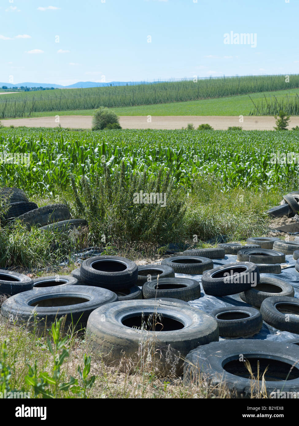 Soil degradation farmland hi-res stock photography and images - Alamy