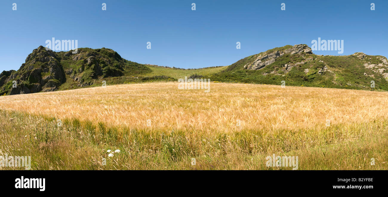 view from the south west devon coast path prawle point the south hams ...