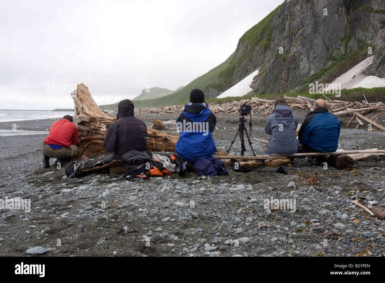 Bear watching at a beach in Katmai National Park and Preserve, Kamishak ...