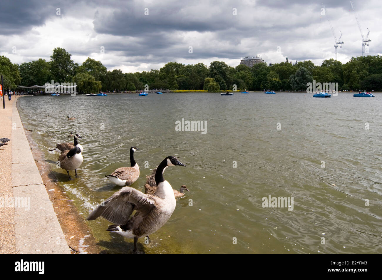 Serpentine hyde park river spring london open Stock Photo - Alamy