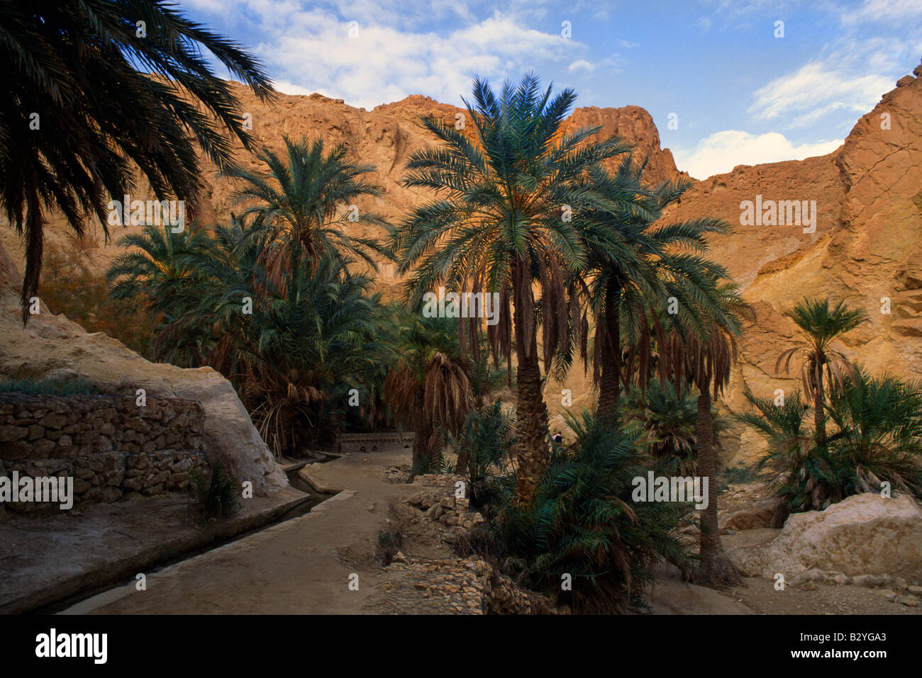 Chebika Tunisia Oasis Stock Photo - Alamy