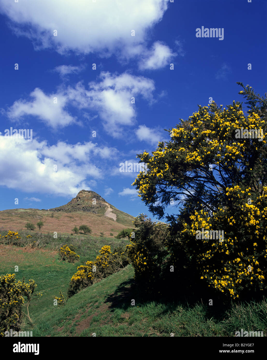 Roseberry Topping in North Yorkshire National Park Stock Photo - Alamy