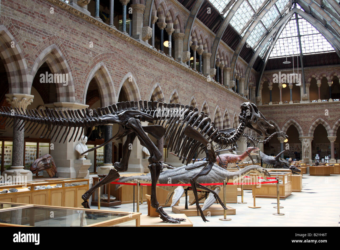 Skeleton Cast Stock Photos & Skeleton Cast Stock Images - Alamy