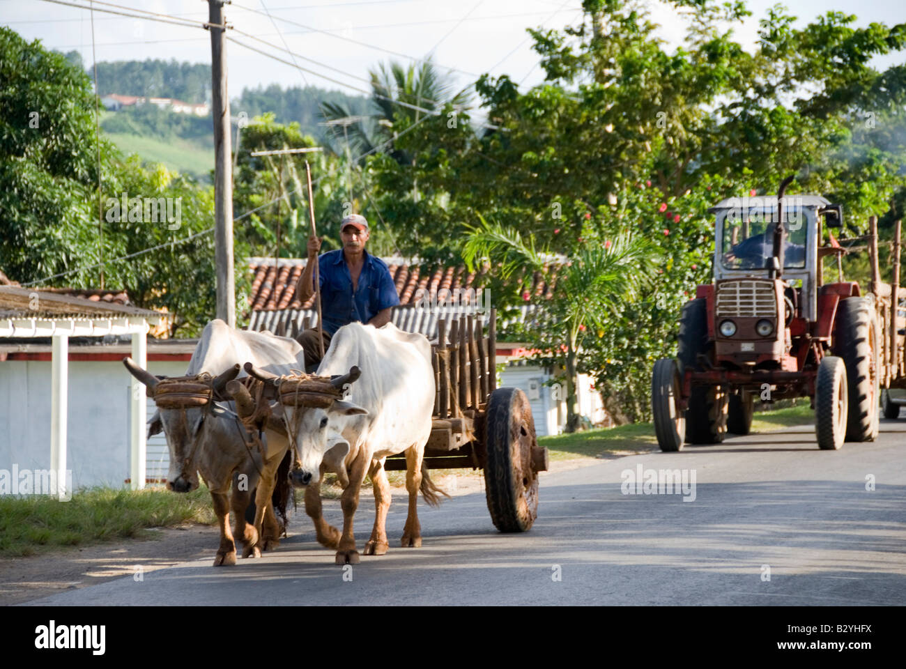 OXEN PULLING CART IN FRONT OF TRACTOR ON COUNTRY ROAD THROUGH VINALES ...