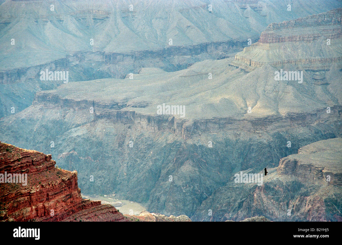 View from the edge of the Grand Canyon at Grand Canyon National Park in ...
