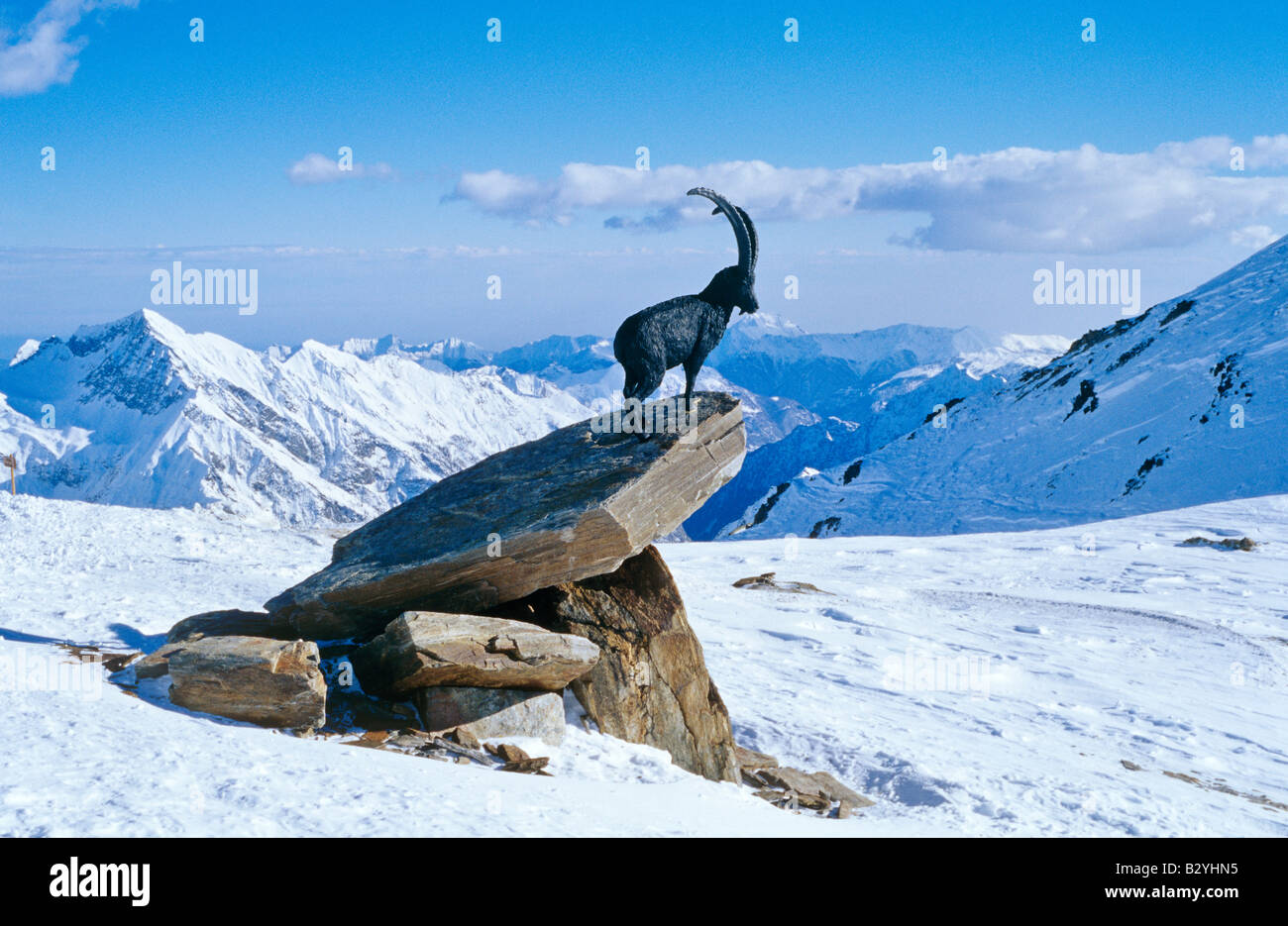 Alpine Ibex statue on rocks Aosta Valley Stock Photo - Alamy