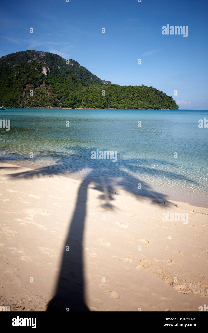 A palm tree shadow cast upon an idyllic tropical beach Stock Photo - Alamy
