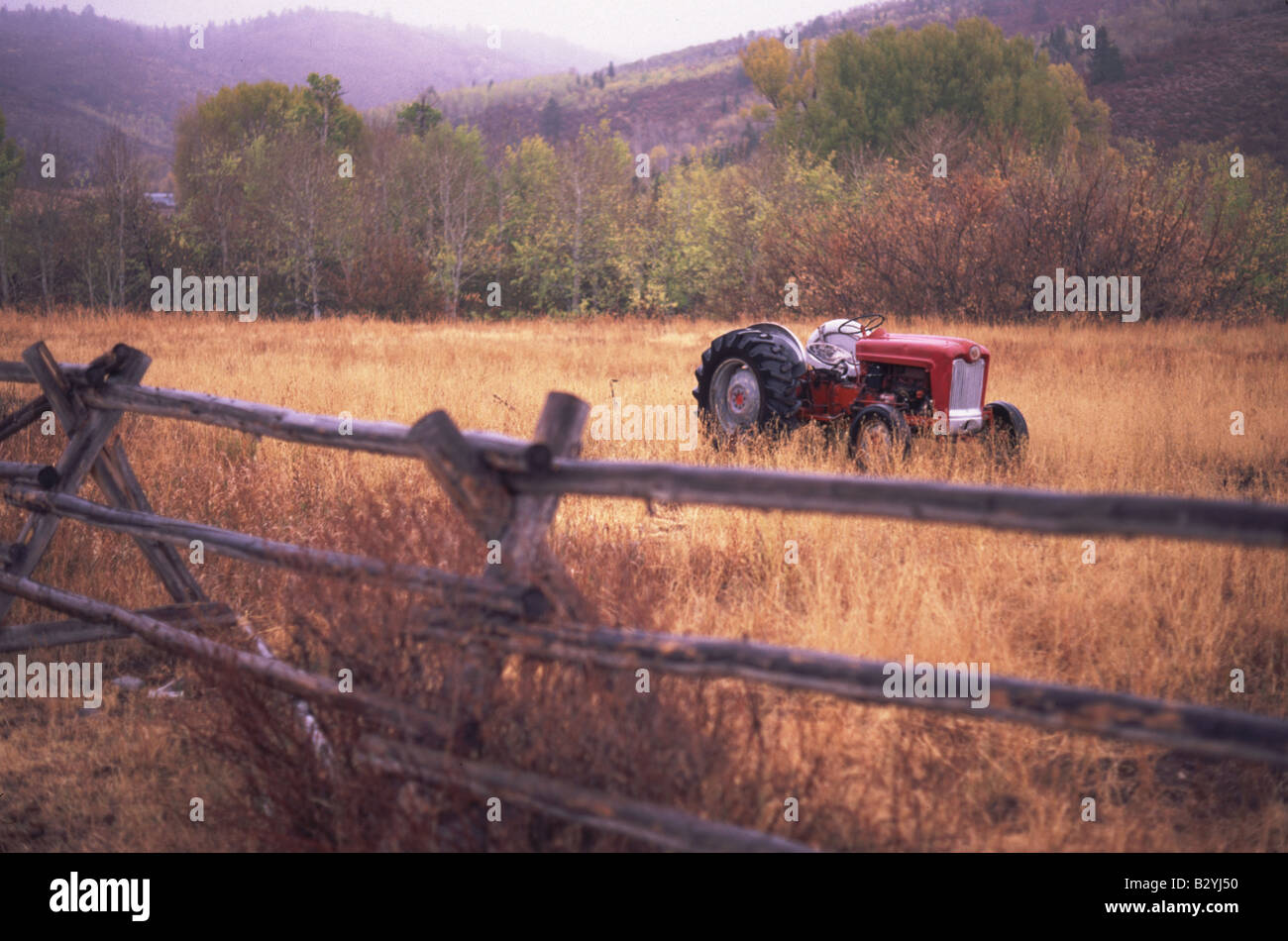 Farm Tractor in Picture perfect field Stock Photo - Alamy