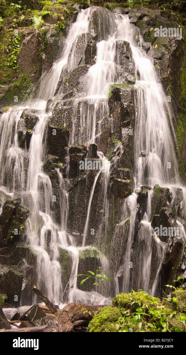 Biosfere reserve hi-res stock photography and images - Alamy