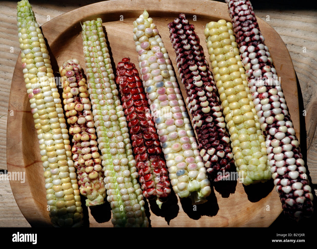 Mixed corn hi-res stock photography and images - Alamy
