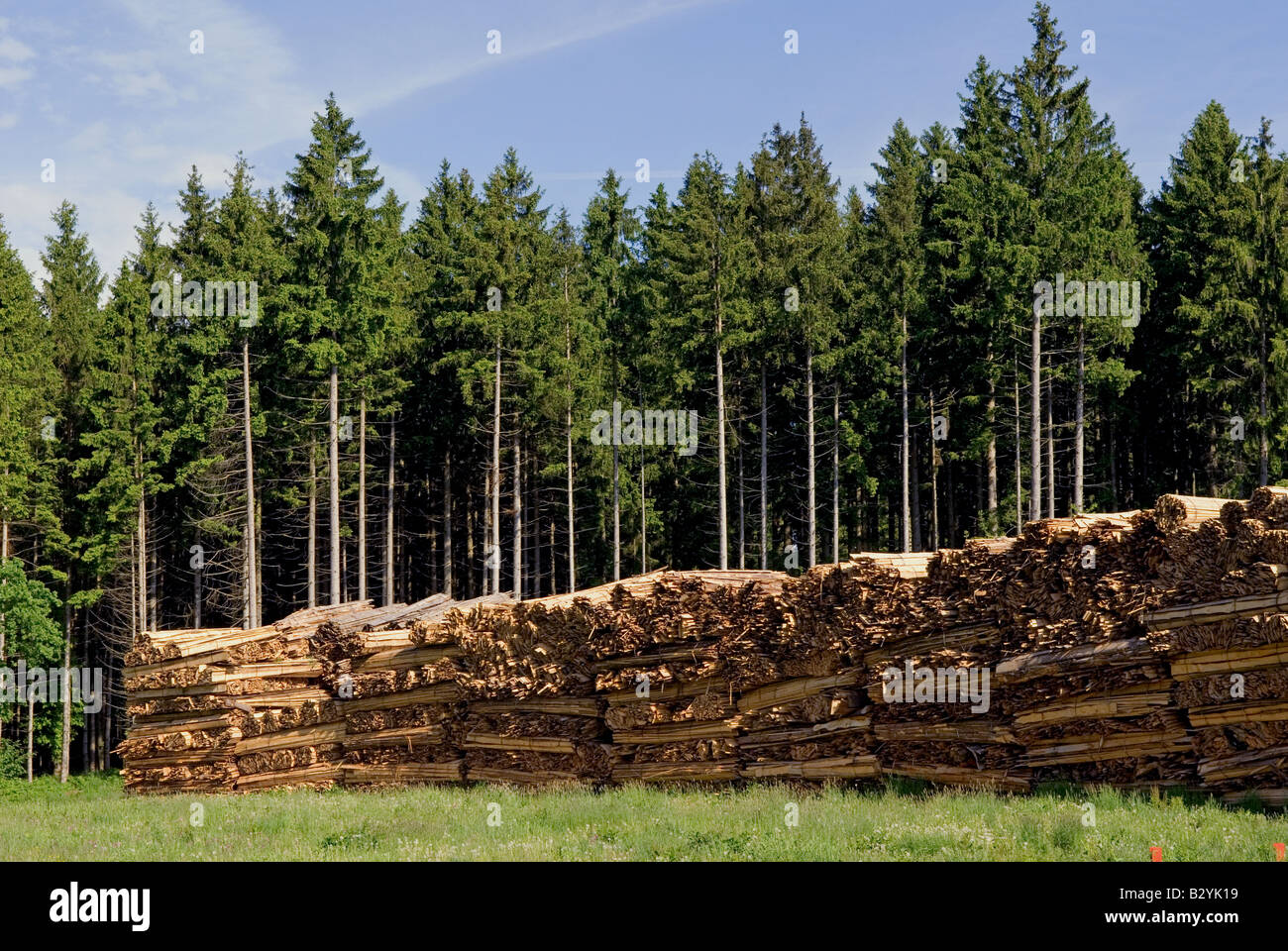 Commercial logging hi-res stock photography and images - Alamy