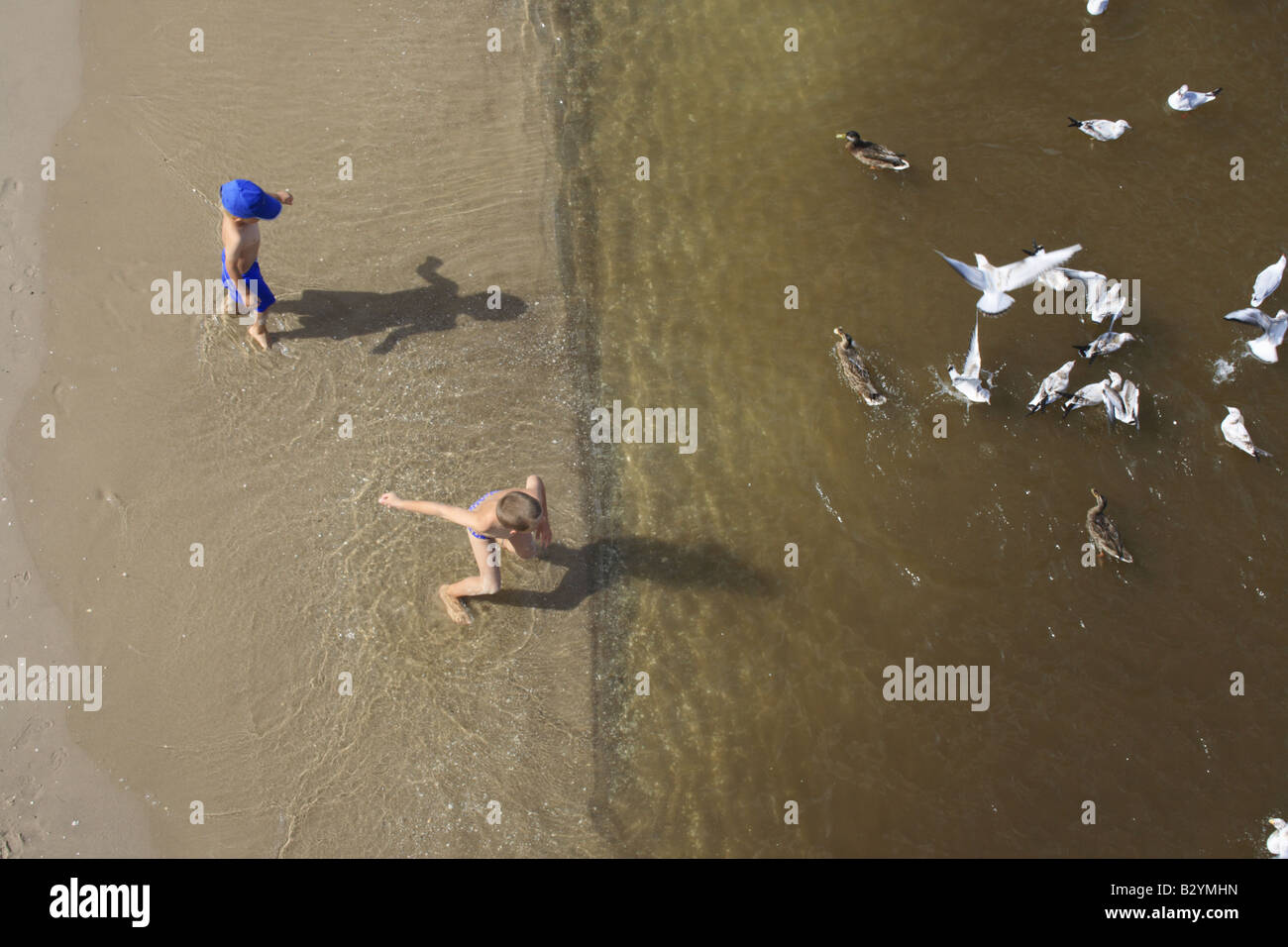 two boys feeding seagull, view from above. Photo by Willy Matheisl ...