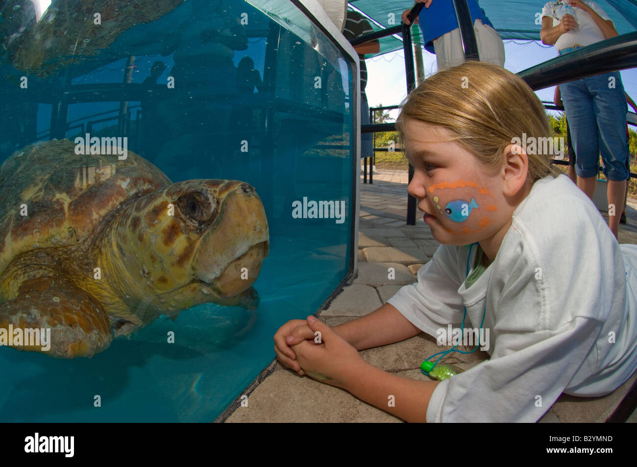 Turtle hospital hi-res stock photography and images - Alamy