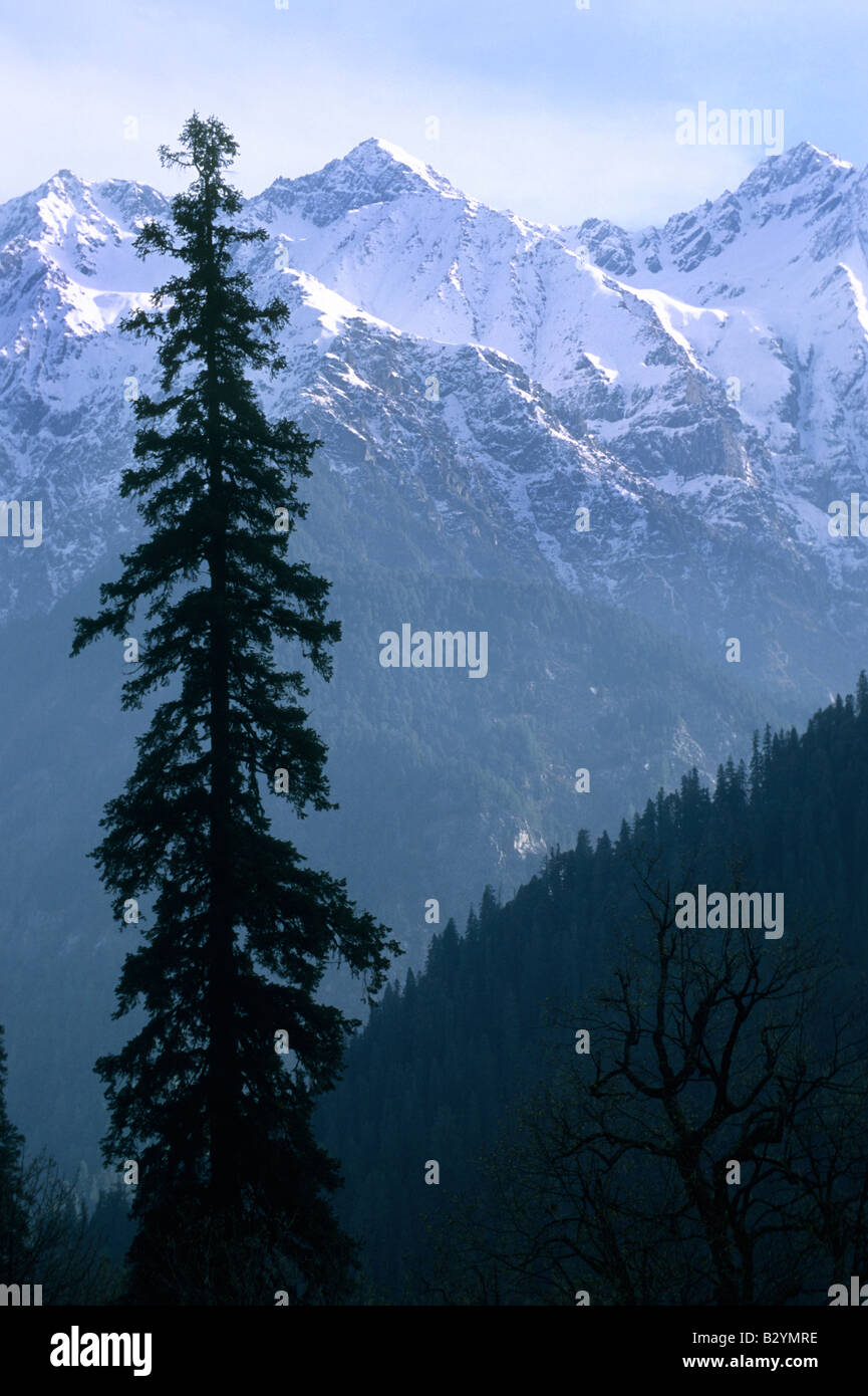 Mountains in Great Himalayan National Park, Himachal Pradesh, India ...