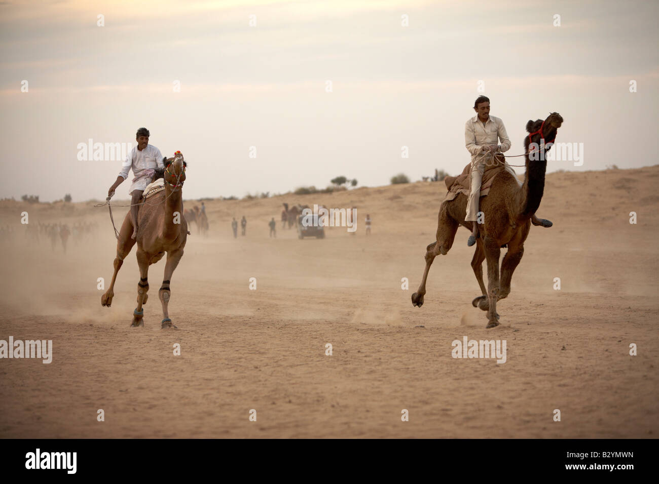 Two men on two camels race each other in an open desert Stock Photo - Alamy