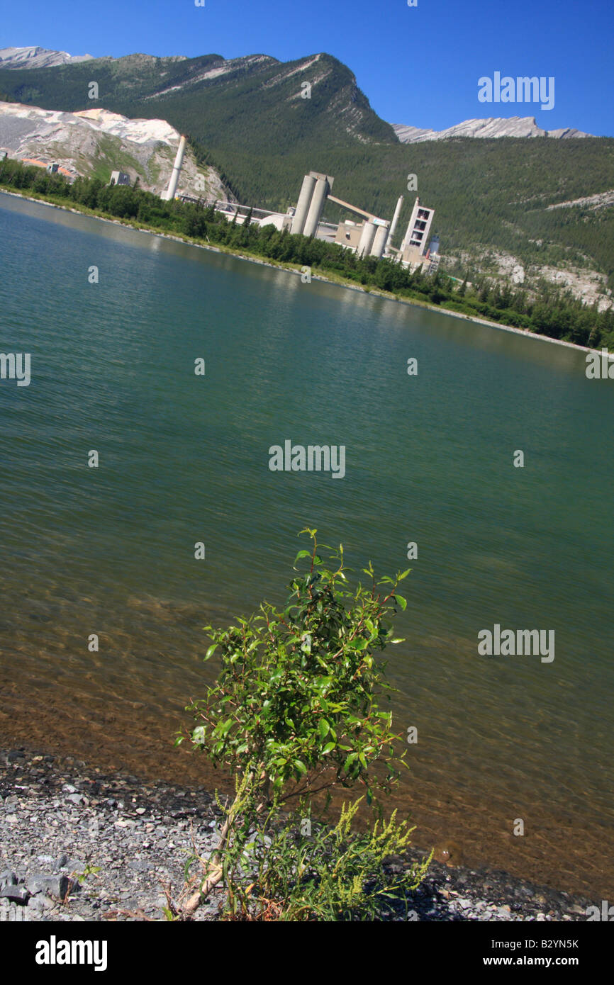 Lime plant at Exshaw, Alberta Stock Photo - Alamy