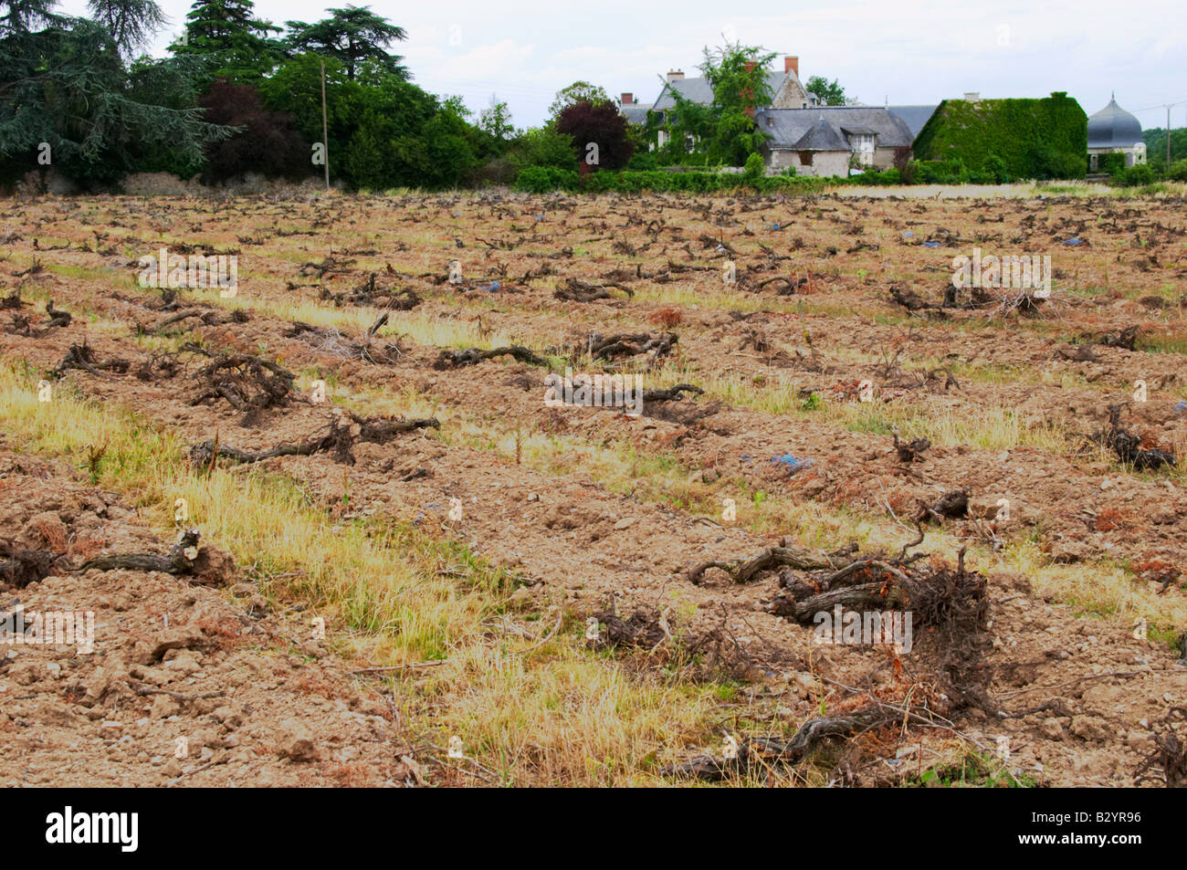 040626 116 1676 hi-res stock photography and images - Alamy