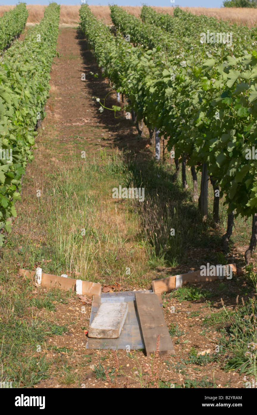 Rain Collection Device High Resolution Stock Photography and Images - Alamy