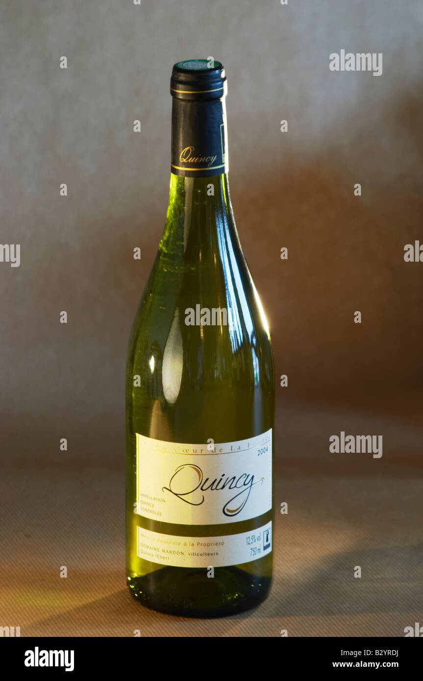 Quincy, Au Coeur de la France, Domaine Mardon. Loire, France Stock ...