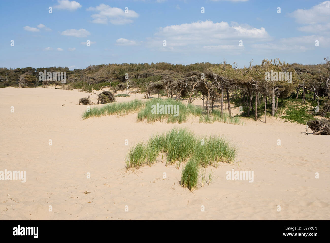Mobile dunes hi-res stock photography and images - Alamy