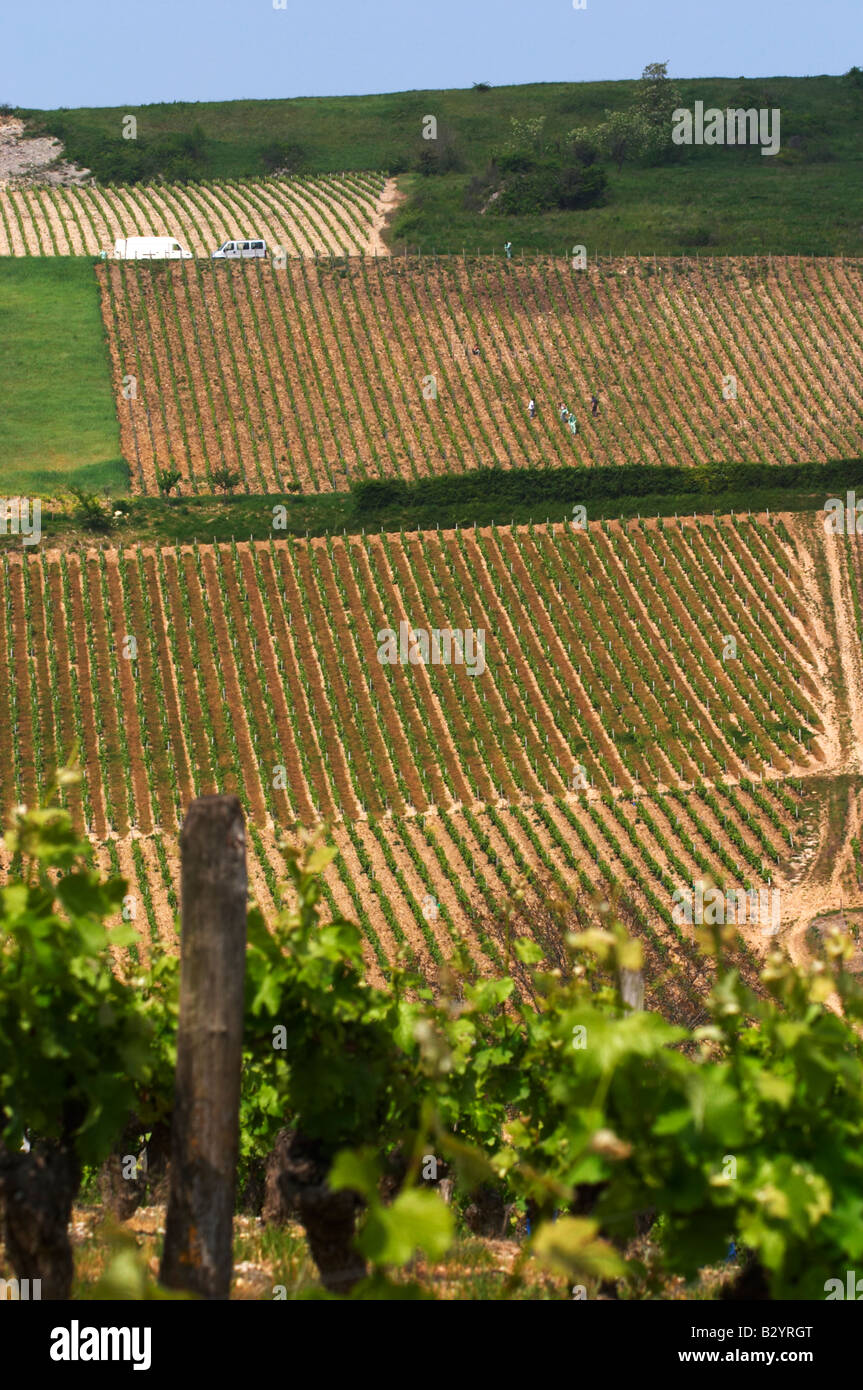 Damnes hi-res stock photography and images - Alamy