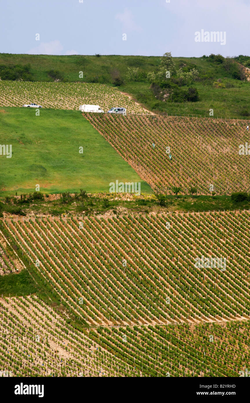 Damnes hi-res stock photography and images - Alamy