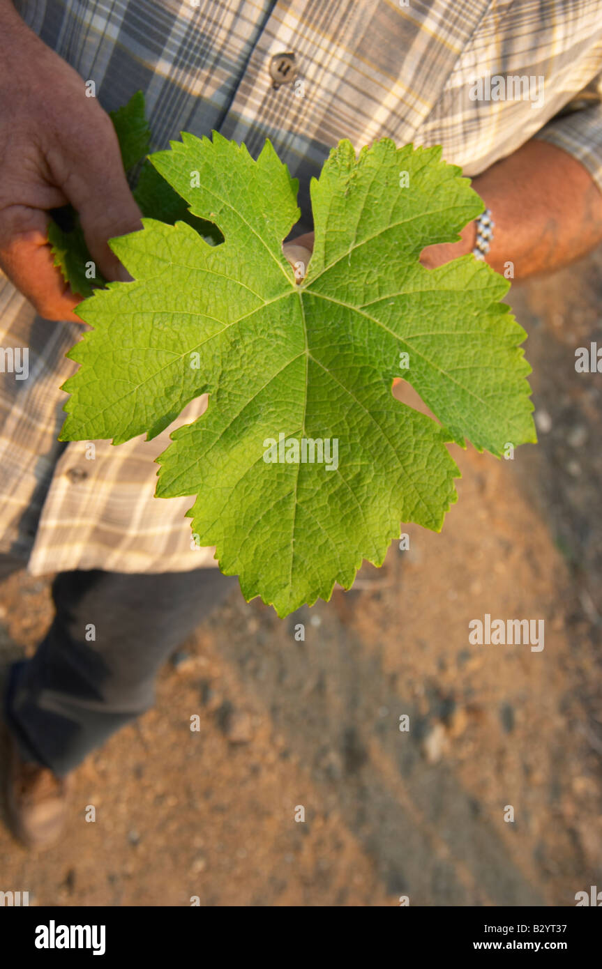 Caramany hi-res stock photography and images - Alamy